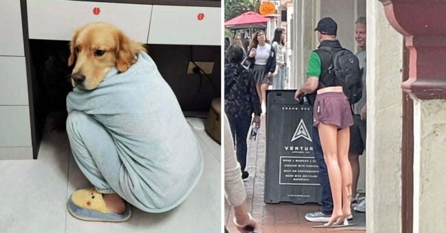 "What The What?" — 40 Optical Illusion Pictures Taken From Very ...
