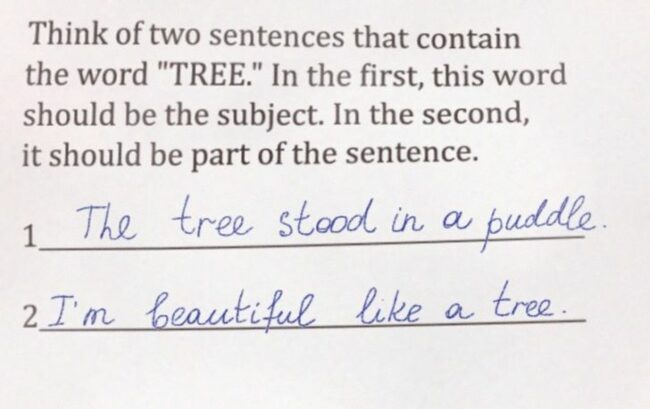 30 Funniest Kids Test Answers That Are Wrong In All The Hilarious Ways