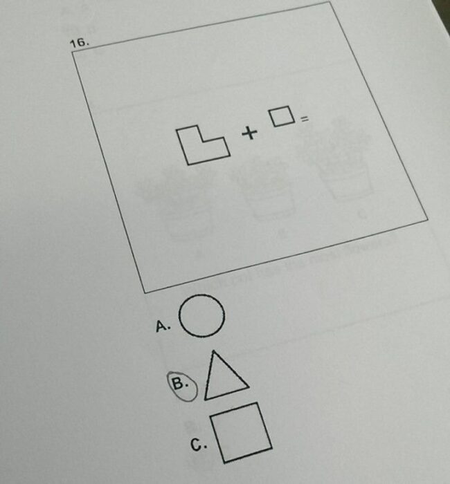 30 Funniest Kids Test Answers That Are Wrong In All The Hilarious Ways