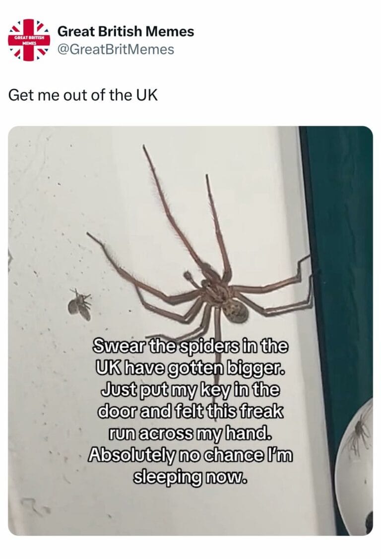 30 Funny British Tweets That Are So British They Should Come With A Cup ...
