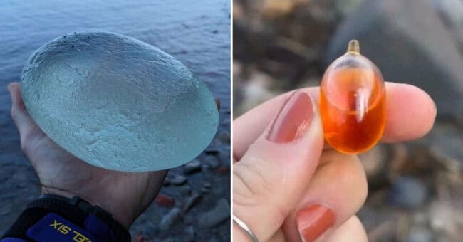 35 Interesting Things People Found On Beaches Instead Of Seashells
