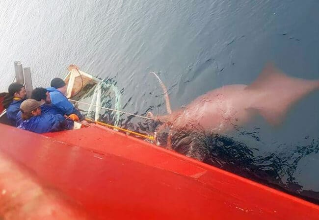 40 Most Terrifying Work Pictures From The World's Scariest Jobs