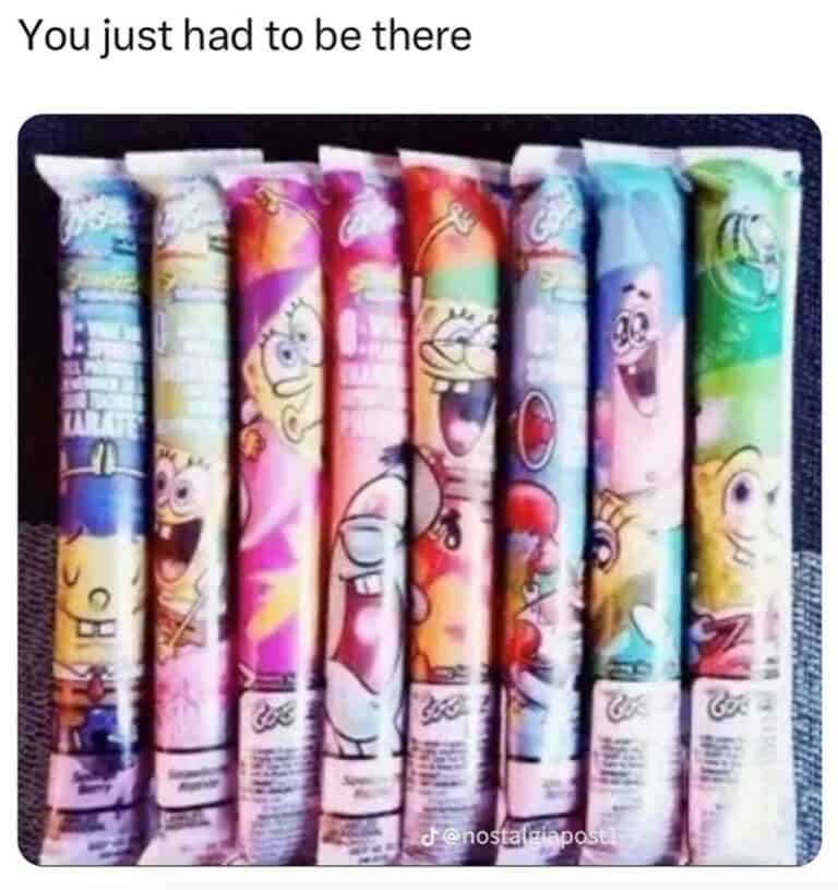35 Nostalgic 90s Memes That Hit Like A Slap Bracelet On Your Wrist