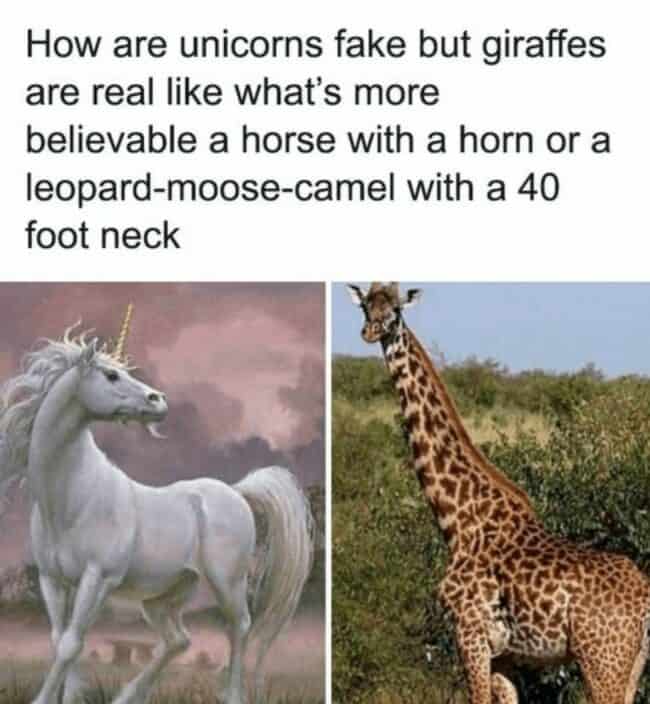 35 Smart Memes Only Clever Folks With A High IQ Will Get