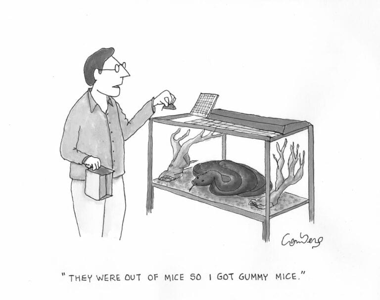 30 Witty Comics From New Yorker Cartoonist David Gomberg