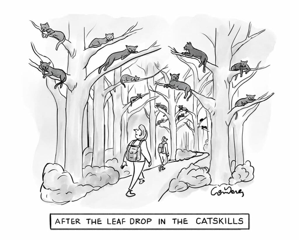 30 Witty Comics From New Yorker Cartoonist David Gomberg