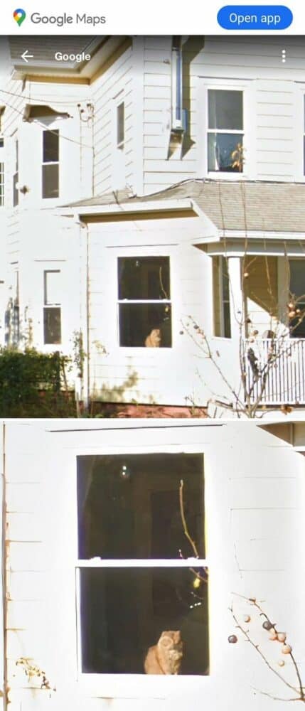 35 Bizarre And Hilarious Screenshots From Google Maps That Made Folks ...
