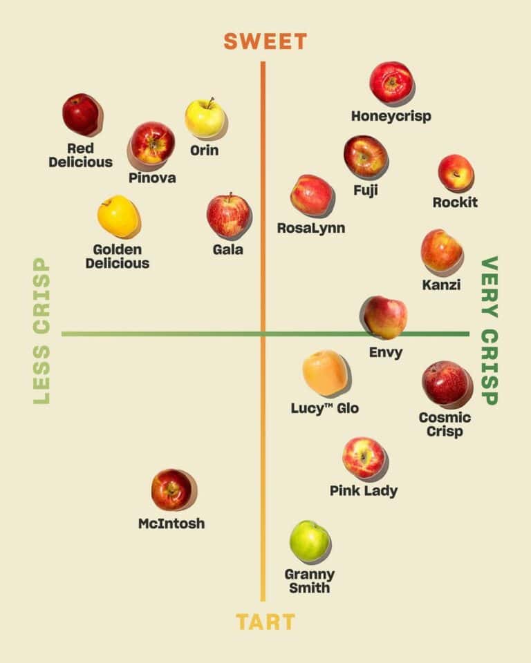 35 Cool Charts, Graphs, And Maps That'll Teach You Something New And ...
