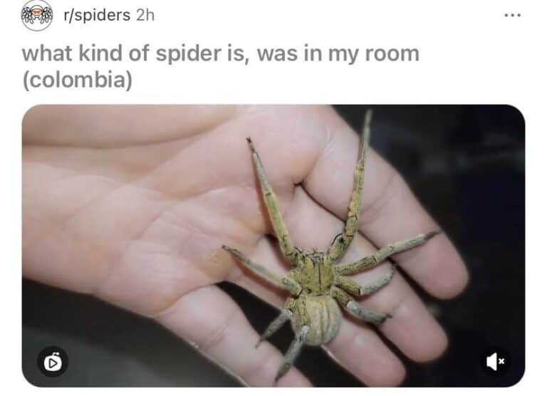 35 Foolish Dopes Who Didn't Realize How Close They Came To An Untimely ...