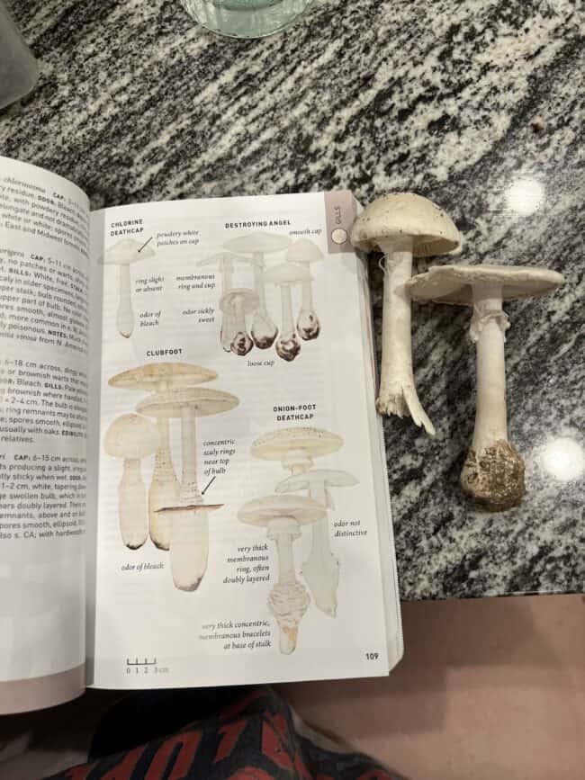 35 Foolish Dopes Who Didn't Realize How Close They Came To An Untimely ...
