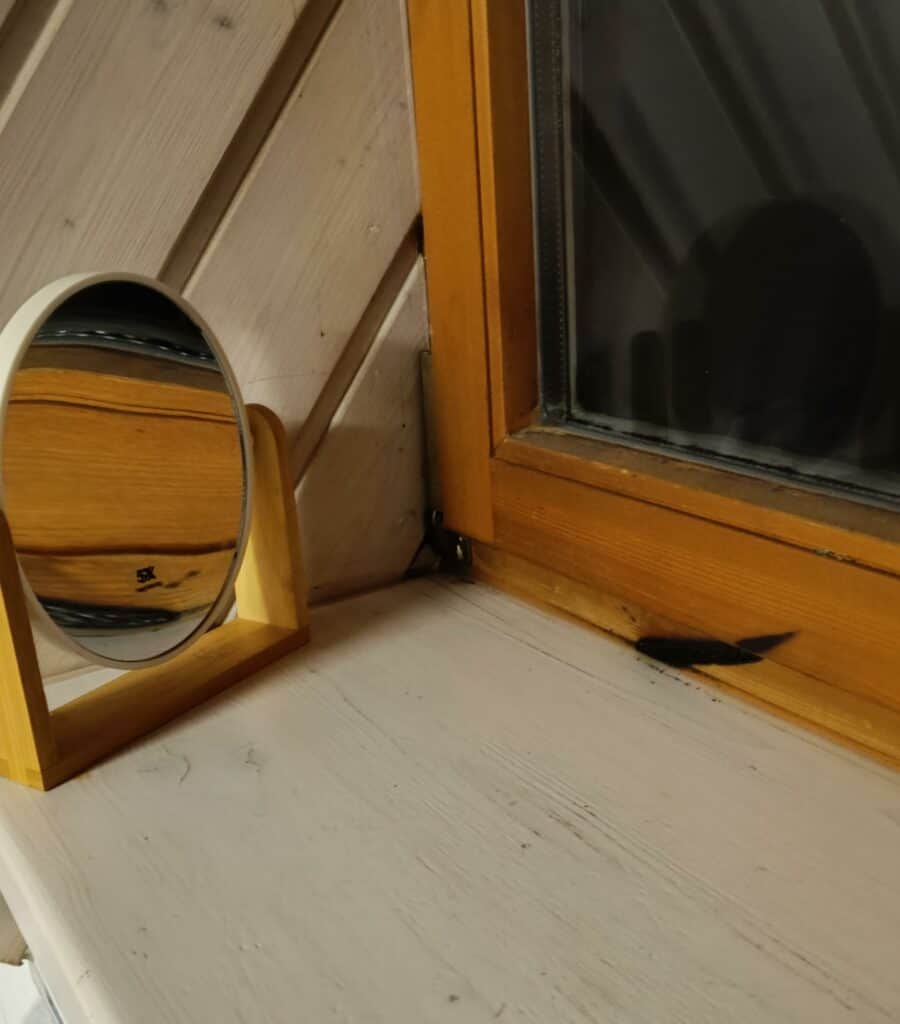 35 Foolish Dopes Who Didn't Realize How Close They Came To An Untimely ...