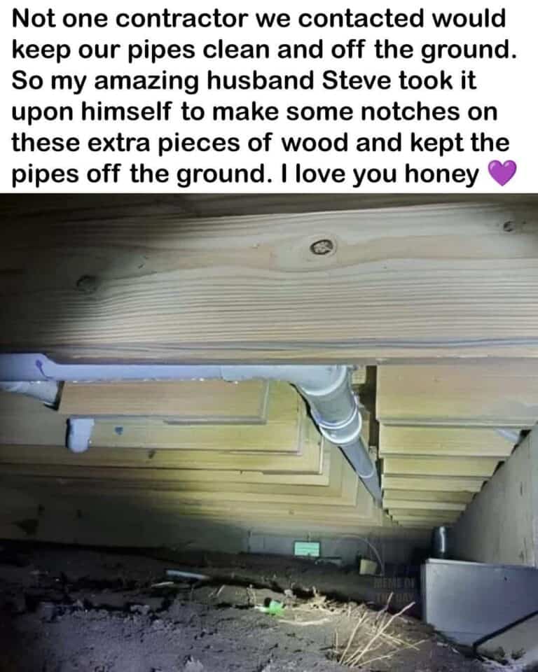 35 Foolish Dopes Who Didn't Realize How Close They Came To An Untimely ...
