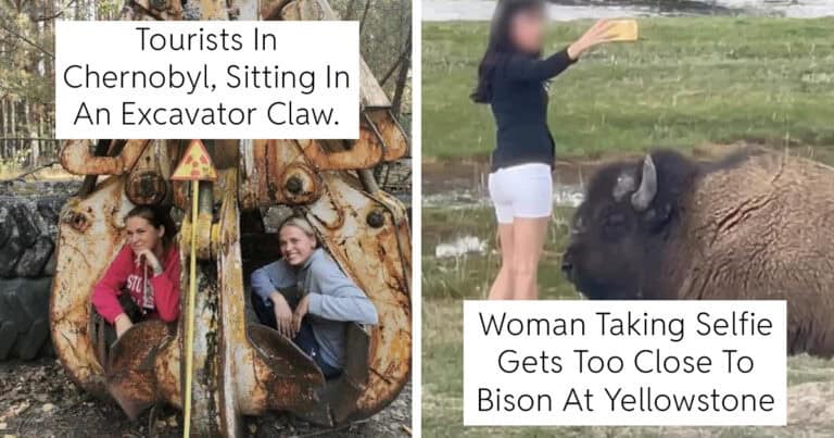 35 Foolish Dopes Who Didn't Realize How Close They Came To An Untimely ...