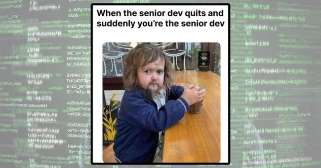 35 Funniest Programming Memes Developers Will Appreciate Between Debugs
