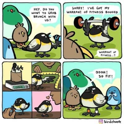 30 Funny Bird Comics By Birdchonk That Imagine What Life Would Be Like ...