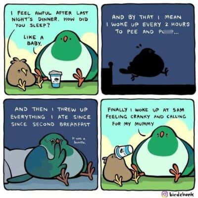 30 Funny Bird Comics By Birdchonk That Imagine What Life Would Be Like ...