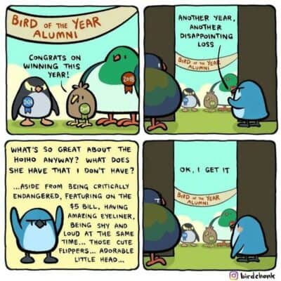30 Funny Bird Comics By Birdchonk That Imagine What Life Would Be Like ...