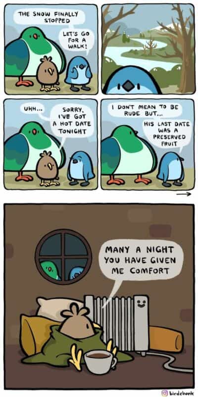 30 Funny Bird Comics By Birdchonk That Imagine What Life Would Be Like ...