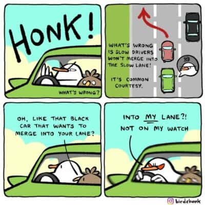 30 Funny Bird Comics By Birdchonk That Imagine What Life Would Be Like ...