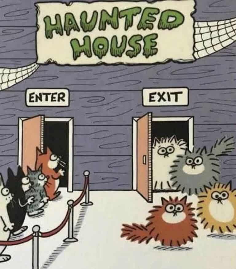 40 Funny Haunted House Memes That’ll Have You Running For The Exit