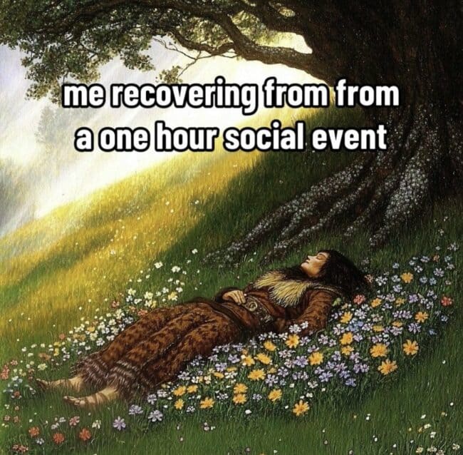 35 Funny Introvert Memes That Require Zero Human Contact