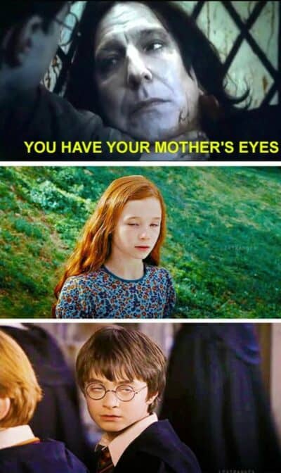 30 Harry Potter Memes That Hit Like An Autumn Stroll Through Hogsmeade