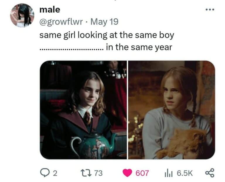 30 Harry Potter Memes That Hit Like An Autumn Stroll Through Hogsmeade