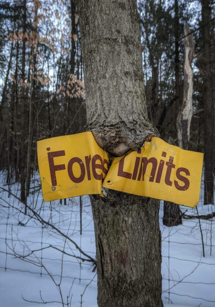 40 Hilariously Bizarre Times People Caught Trees "Eating" Random Objects