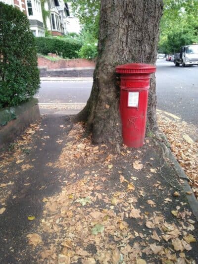 40 Hilariously Bizarre Times People Caught Trees "Eating" Random Objects