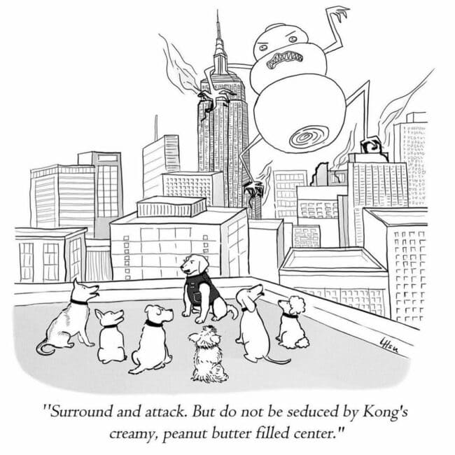 30 Hilariously Clever Comics From New Yorker Cartoonist Lynn Hsu