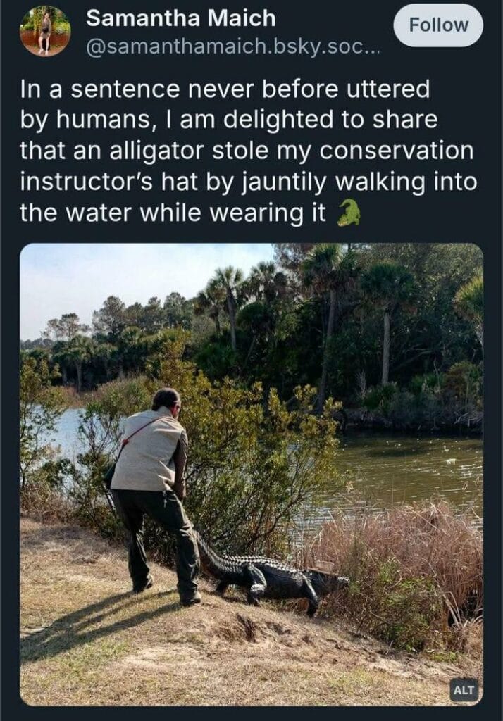 35 Hilariously Original Tweets That Brought Brand New Sentence Into The ...