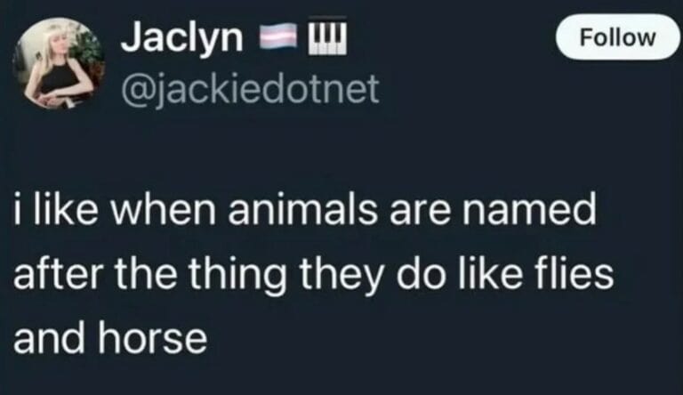 35 Hilariously Original Tweets That Brought Brand New Sentence Into The ...
