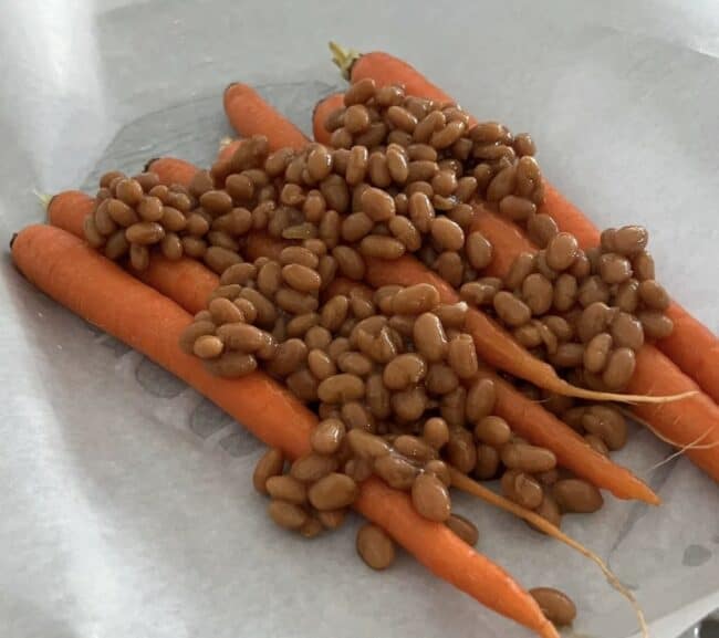 40 Insane Food Creations From Grown Adults Who Eat Like Unsupervised ...