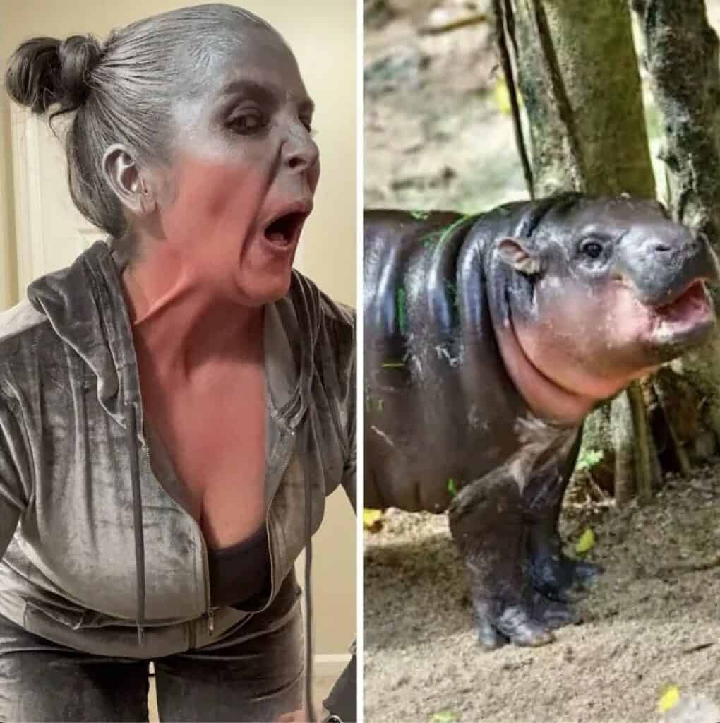 45 Insanely Creative Halloween Costume Ideas You'll Want To Steal For ...