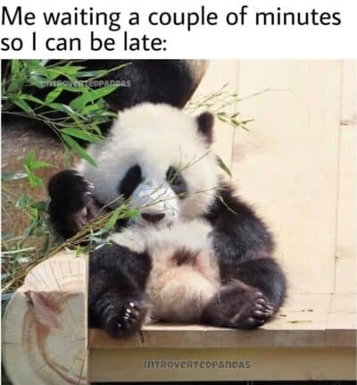 30 Introverted Panda Memes For Everyone Who’d Rather Stay Home