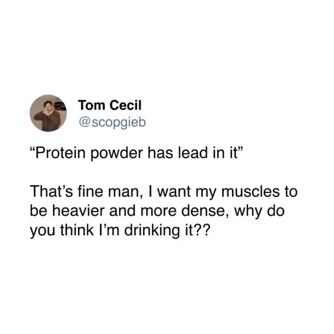 15 Funniest Memes About All The Lead In Protein Powder