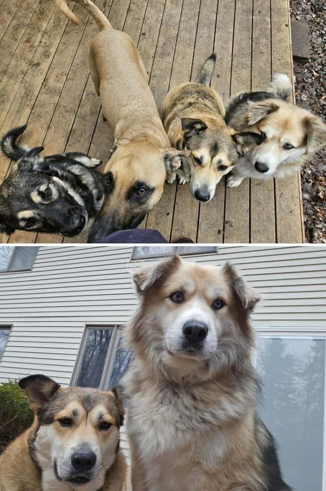 35 Wholesome Neighbor Pictures From Folks Who Hit The Living Situation ...