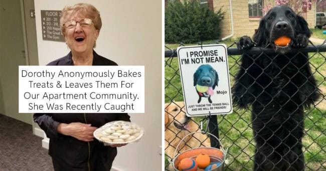 35 Wholesome Neighbor Pictures From Folks Who Hit The Living Situation ...