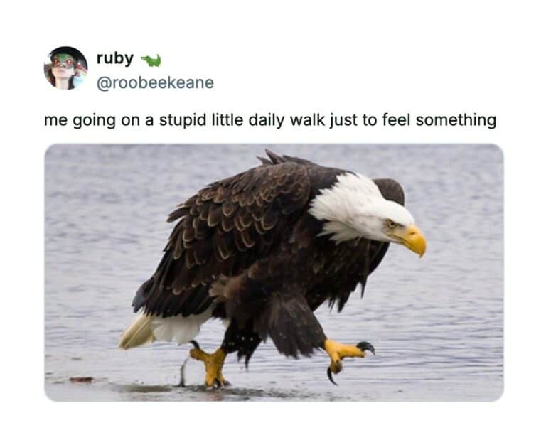 30 Exercise Memes For Walkers And Runners Determined To Hit That Step Goal