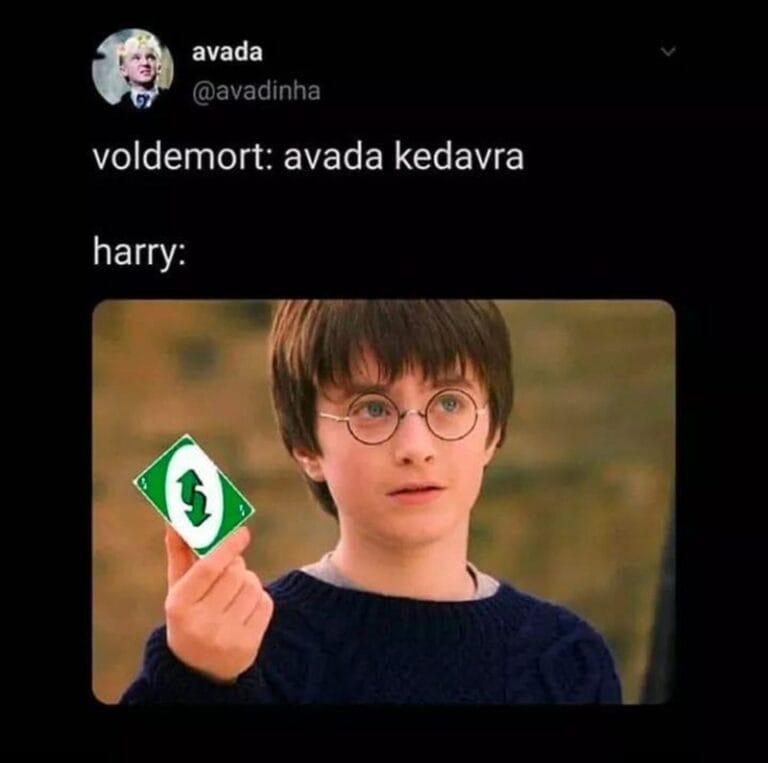 30 Funniest Harry Potter Memes That Made Dumbledore Give 50 Points To ...