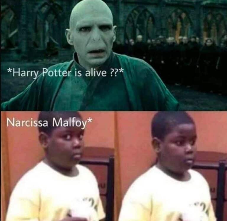 30 Funniest Harry Potter Memes That Made Dumbledore Give 50 Points To ...