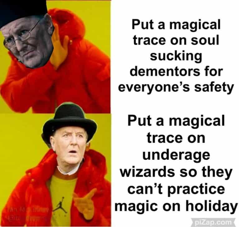 30 Funniest Harry Potter Memes That Made Dumbledore Give 50 Points To ...