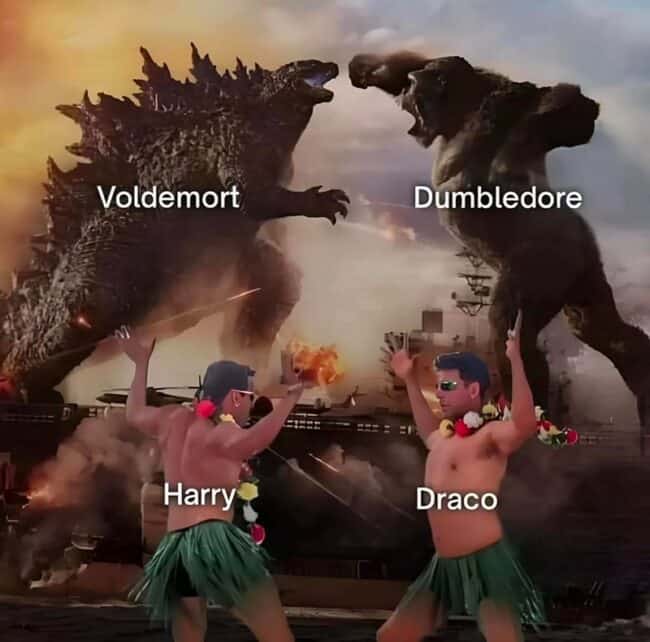 30 Funniest Harry Potter Memes That Made Dumbledore Give 50 Points To ...