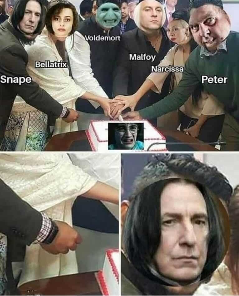 30 Funniest Harry Potter Memes That Made Dumbledore Give 50 Points To ...
