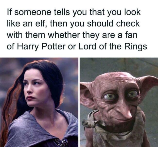 30 Funniest Harry Potter Memes That Made Dumbledore Give 50 Points To ...