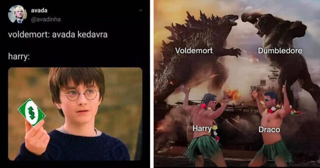 30 Funniest Harry Potter Memes That Made Dumbledore Give 50 Points To ...