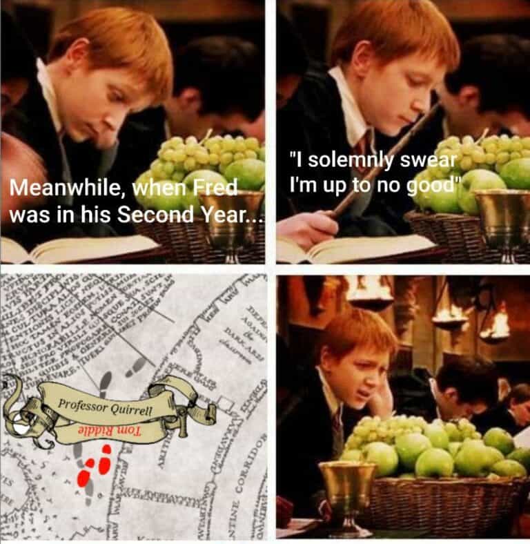 30 Funniest Harry Potter Memes That Made Dumbledore Give 50 Points To ...