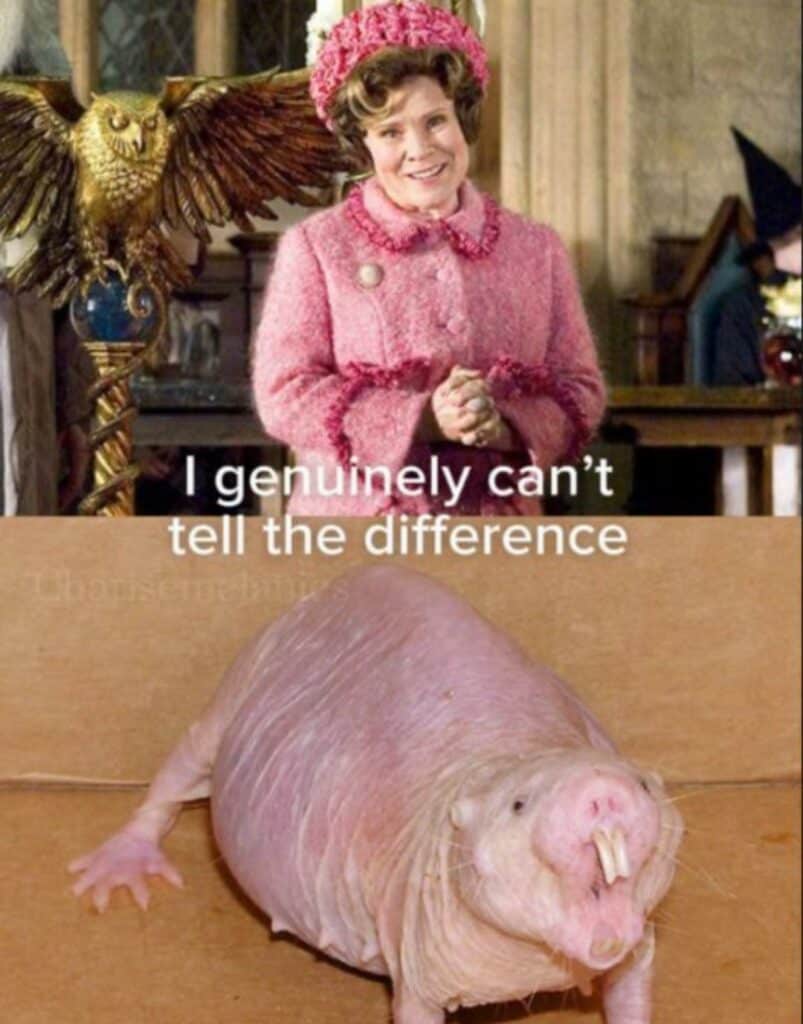 30 Funniest Harry Potter Memes That Made Dumbledore Give 50 Points To ...