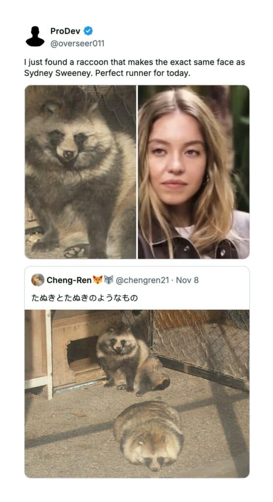 20 Funniest Memes Sparked From Sydney Sweeney's Controversial GQ Interview