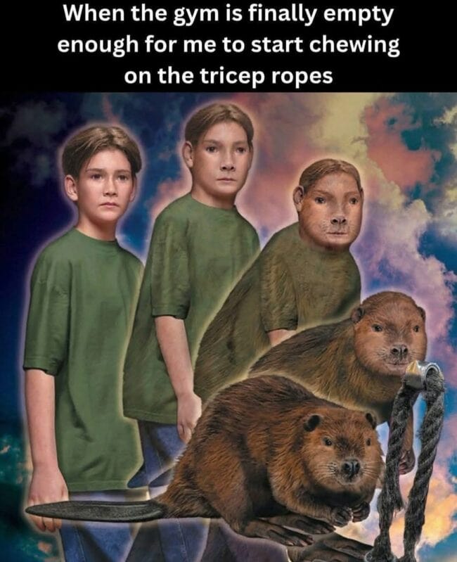 30 Funniest Workout Memes That Made Us Sweaty With Laughter This Week ...